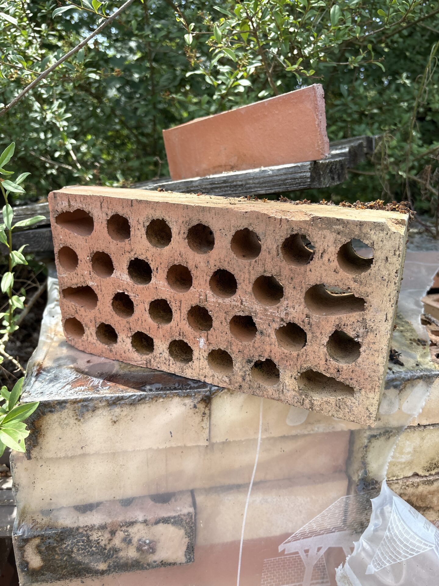 Briques perforées TEREAL - VendezVosMateriaux